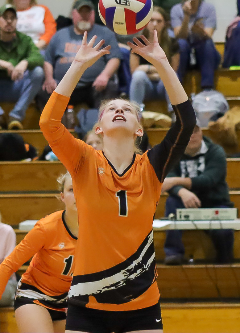 Wolverines on a roll | News, Sports, Jobs - Times Observer